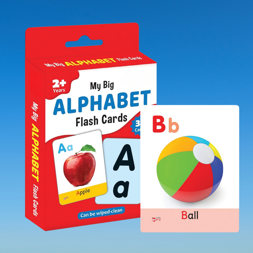 Write & Wipe (Jumbo Flash Cards) Alphabets – Skill up Kids